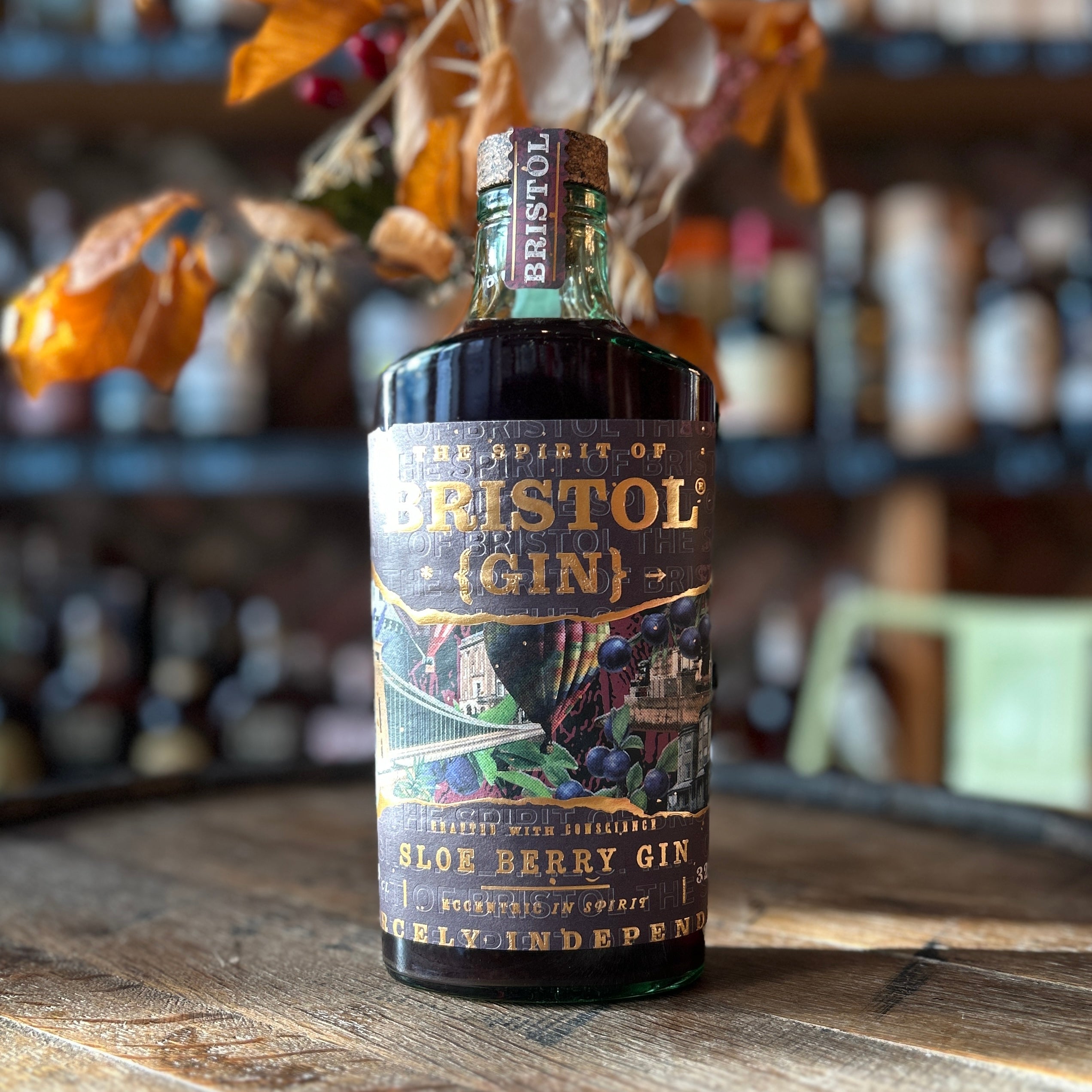 The Spirit of Bristol Sloe Berry Gin – Spirited